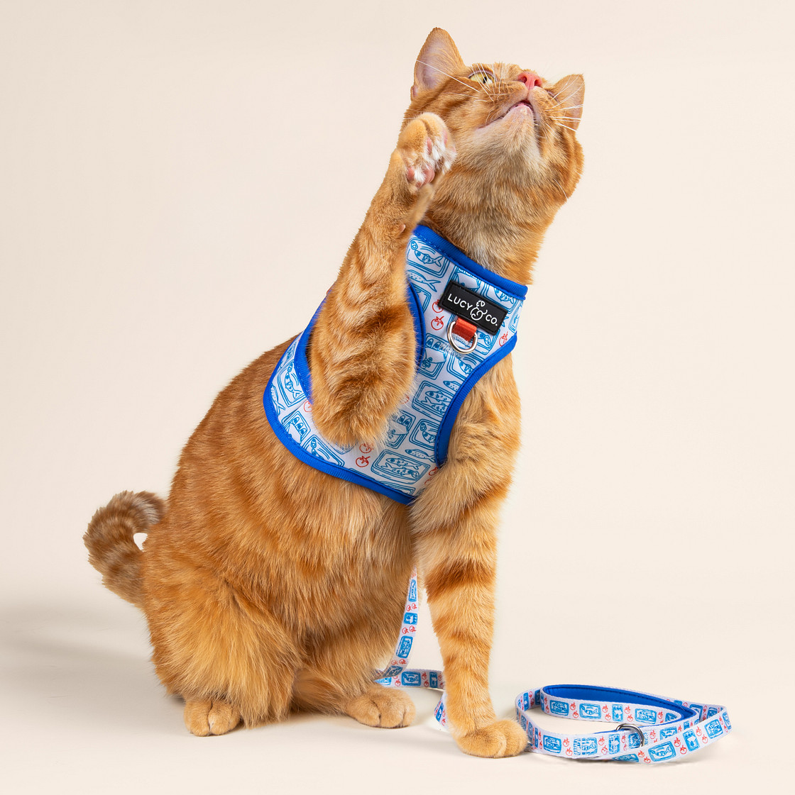 Step-In Cat Harnesses | Comfortable & Secure | Lucy & Co.