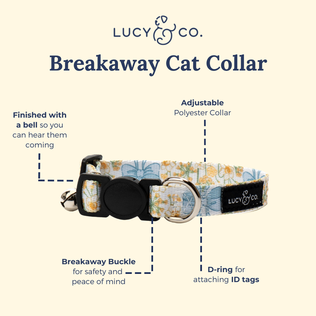 Matching Cat Harnesses & Walk Gear | Lucy & Co.