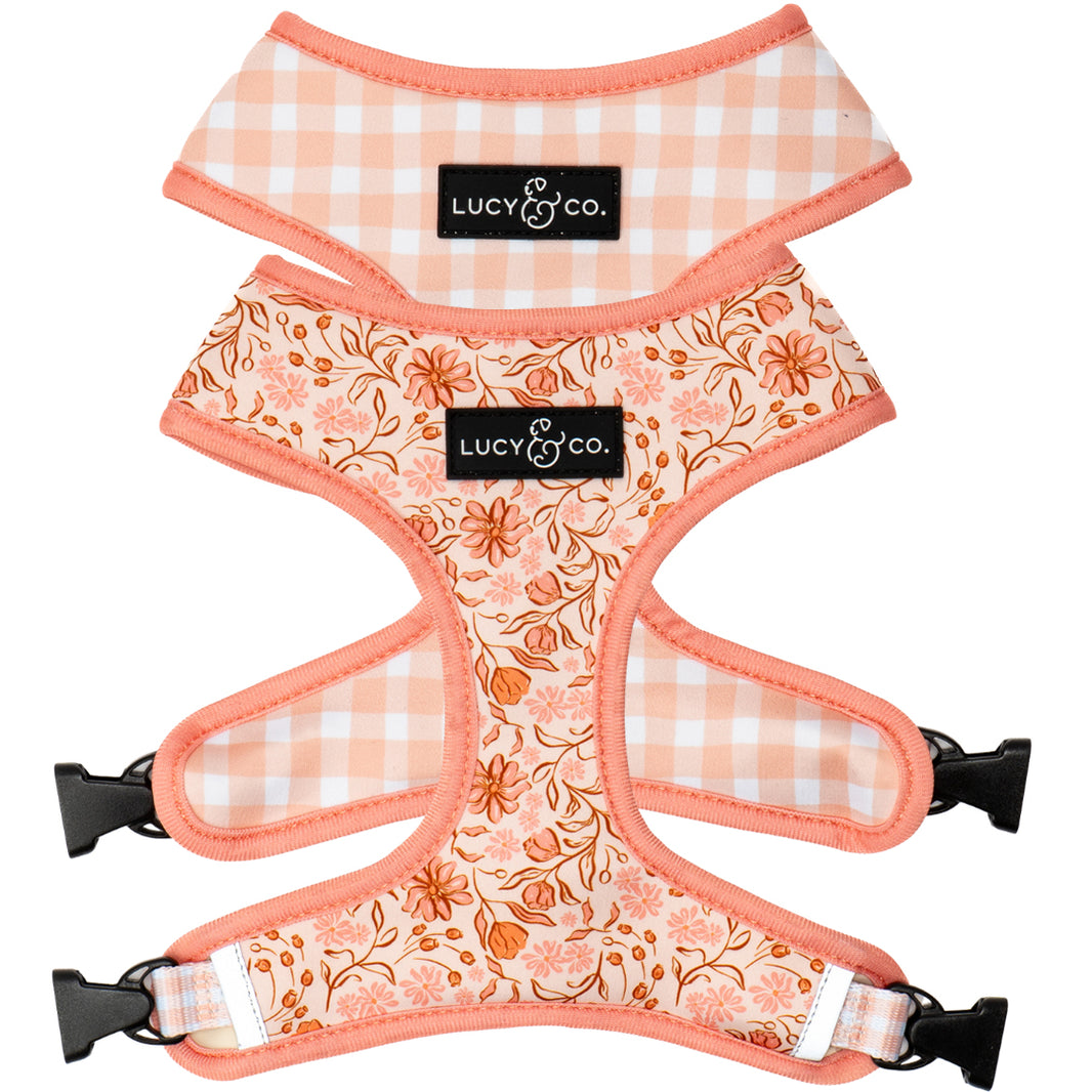 The Internet's Favorite Reversible & No-Pull Dog Harness | Lucy & Co.