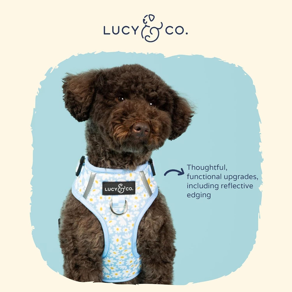 Blue Daisy No-Pull Neoprene Dog Harness - Simply Splendid | Lucy & Co.