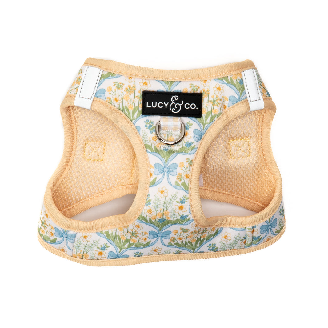 Matching Cat Harnesses & Walk Gear | Lucy & Co.