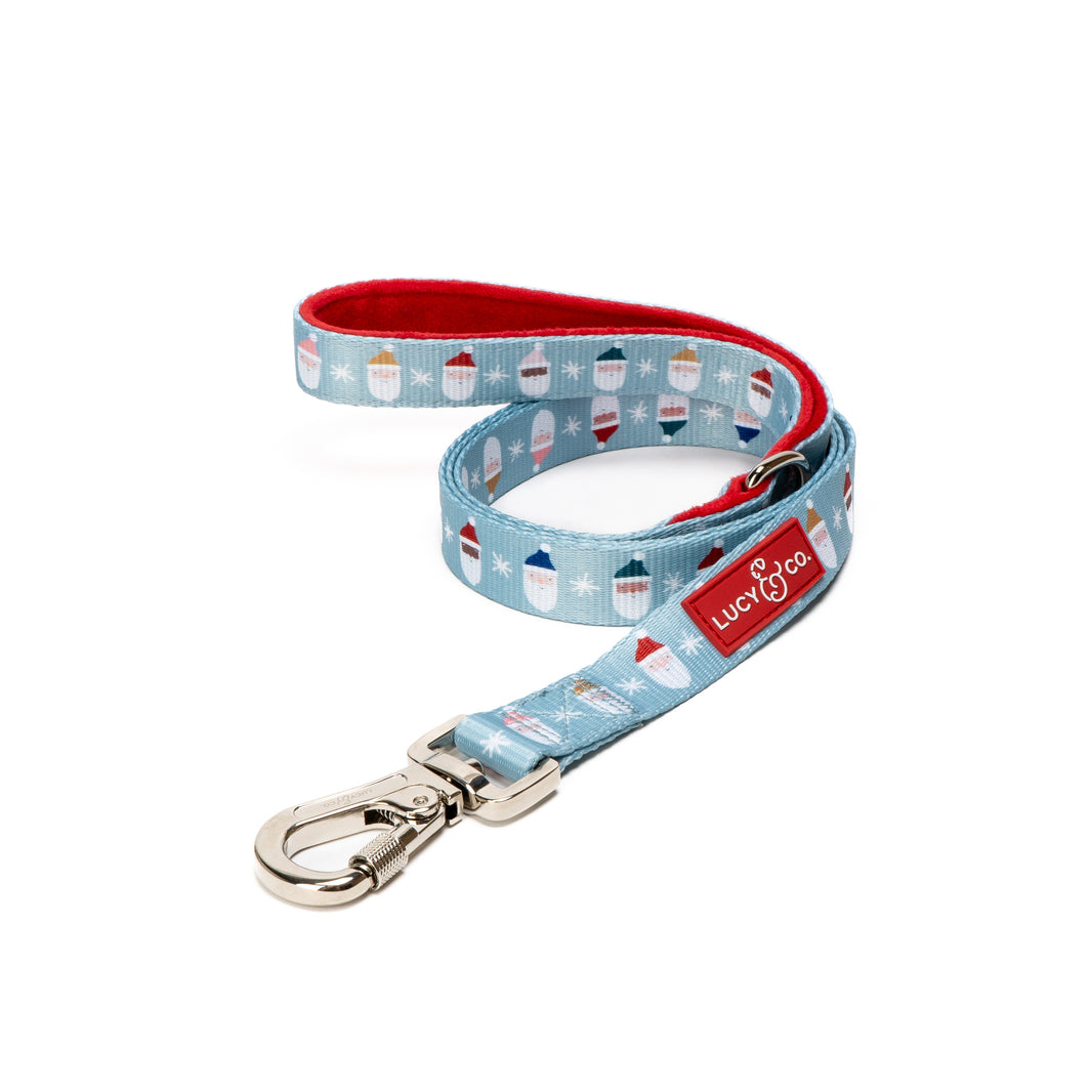 Leashes – Lucy & Co.