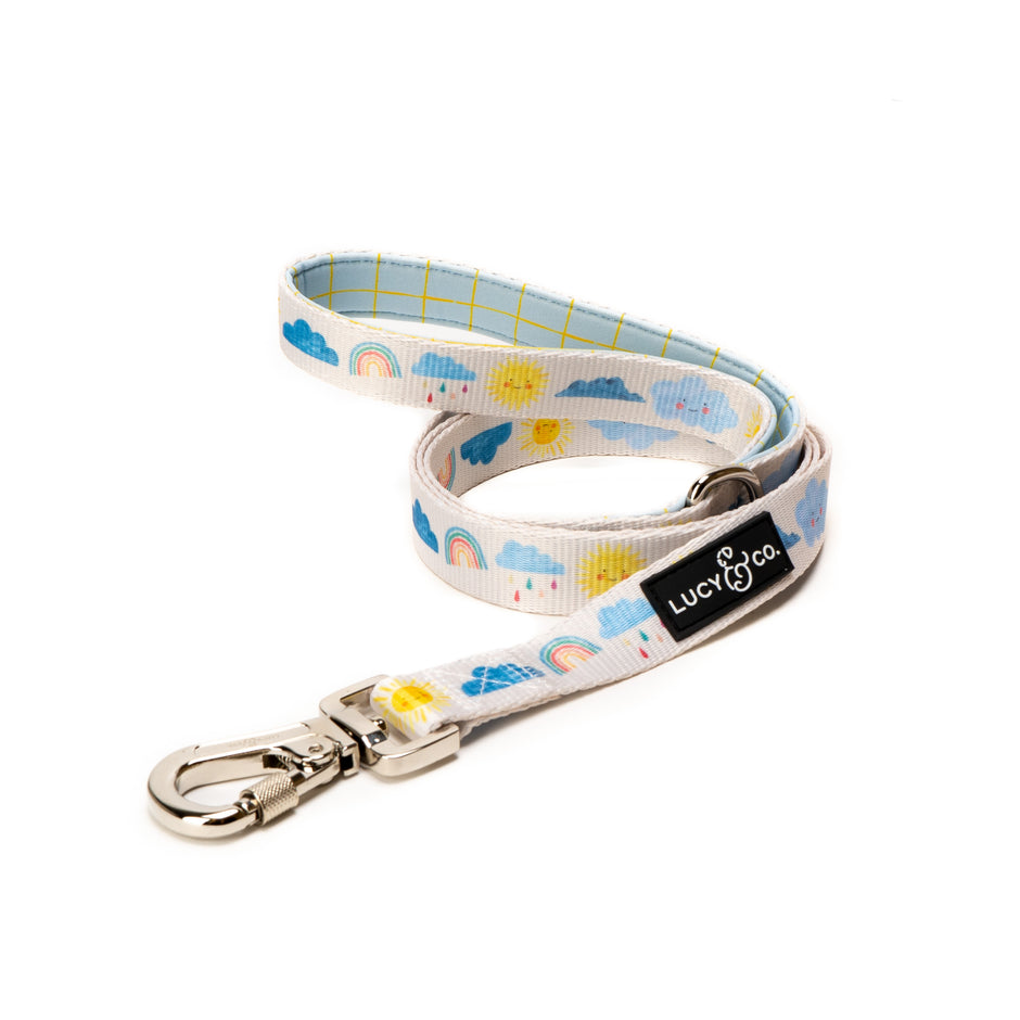 Leashes – Lucy & Co.