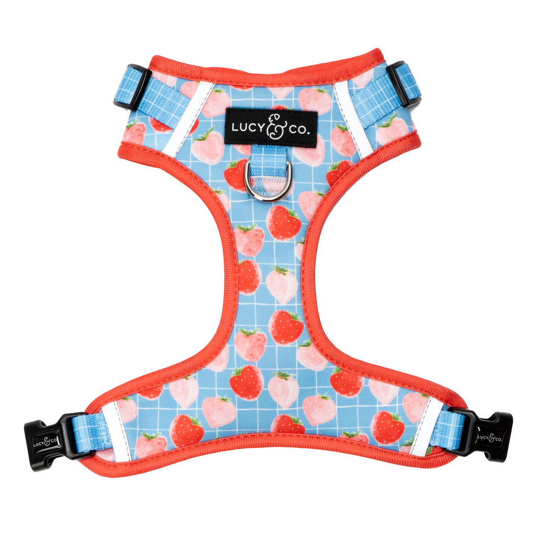 The Internet's Favorite Reversible & No-Pull Dog Harness | Lucy & Co.