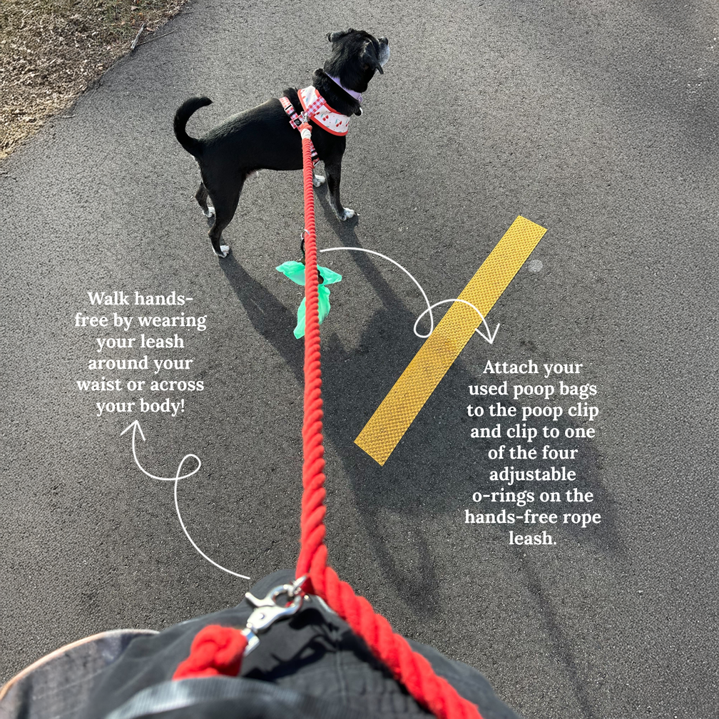 Evergreen Hands-Free Rope Leash | Lucy & Co.