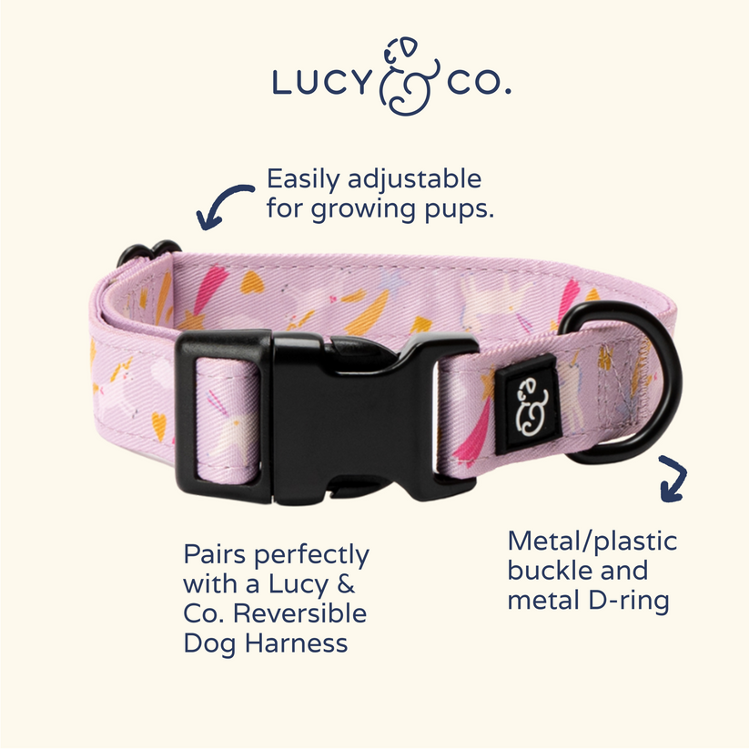 The Making Magic Dog Collar | Lucy & Co.