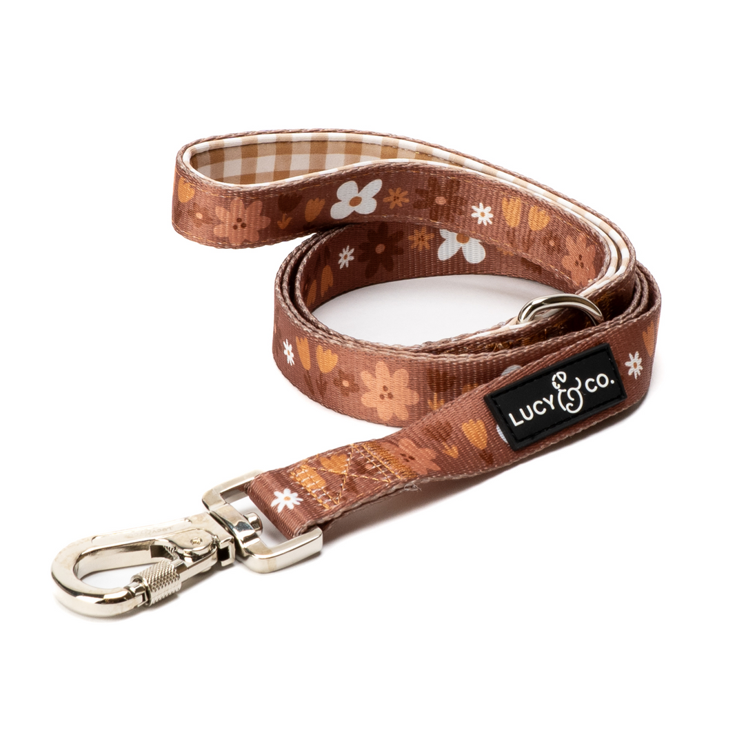 Top-Rated Dog Leashes - The Internet's Favorite Dog Gear – Lucy & Co.