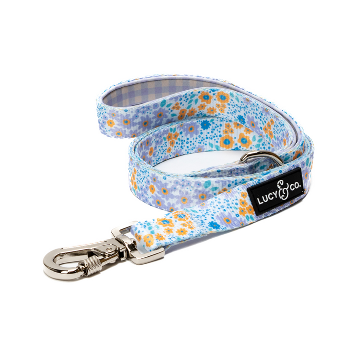 Cute Matching Dog Harnesses & Leashes - Top-Rated Walk Gear – Lucy & Co.