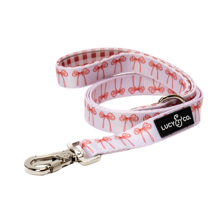 Cute Matching Dog Harnesses, Leashes, Collars - Lucy & Co.