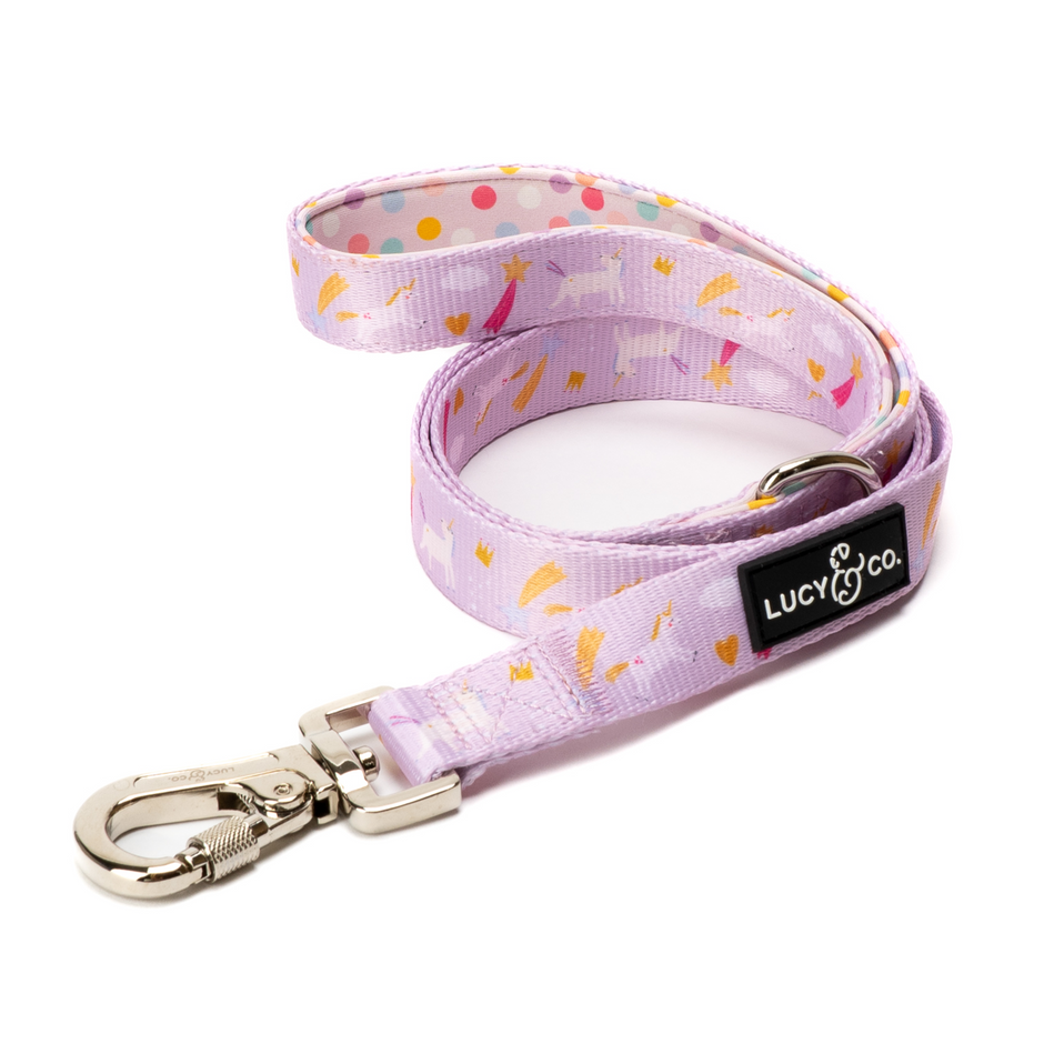 Top-Rated Dog Leashes - The Internet's Favorite Dog Gear – Lucy & Co.