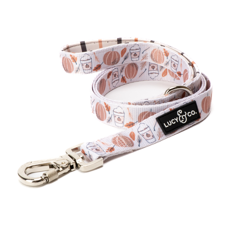 Top-Rated Dog Leashes - The Internet's Favorite Dog Gear – Lucy & Co.
