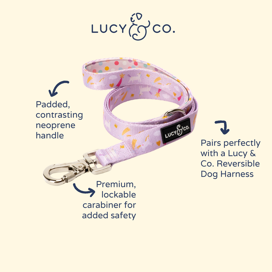 Leashes – Lucy & Co.
