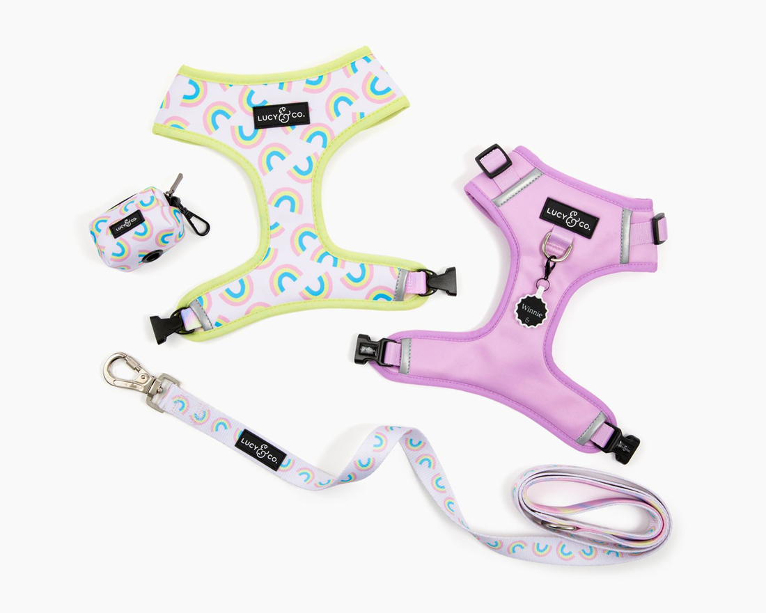 Lucy & Co. - Premium Dog Gear, Apparel, Bandanas, & Gifts