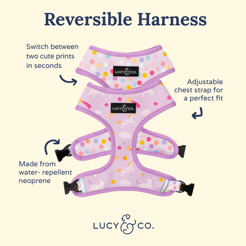 The Making Magic Reversible Dog Harness | Lucy & Co.