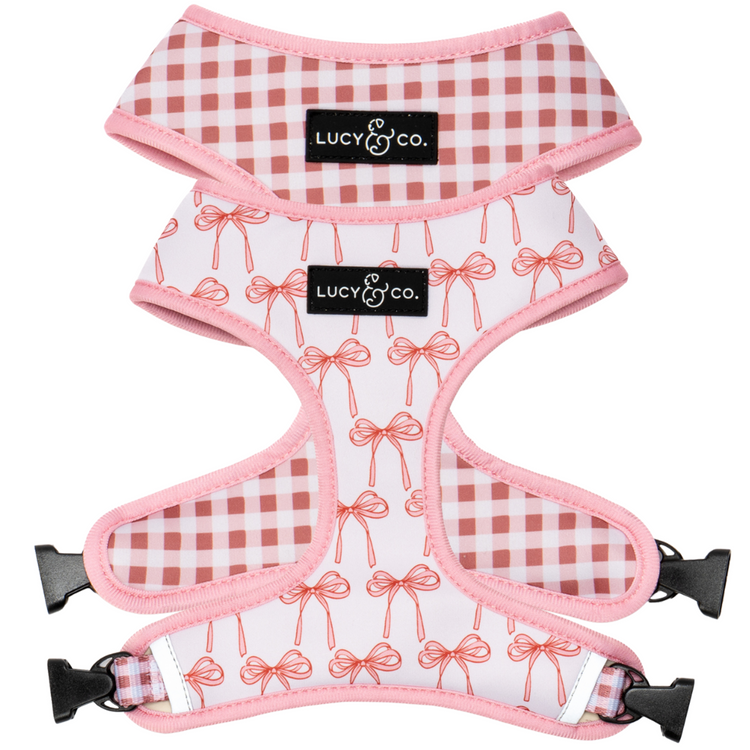 Cute Matching Dog Harnesses & Leashes - Top-Rated Walk Gear – Lucy & Co.