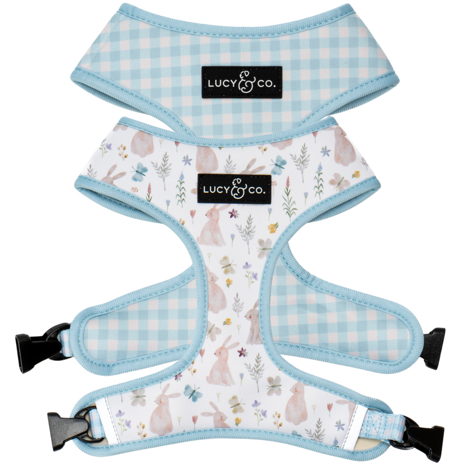 The Internet's Favorite Reversible & No-Pull Dog Harness | Lucy & Co.