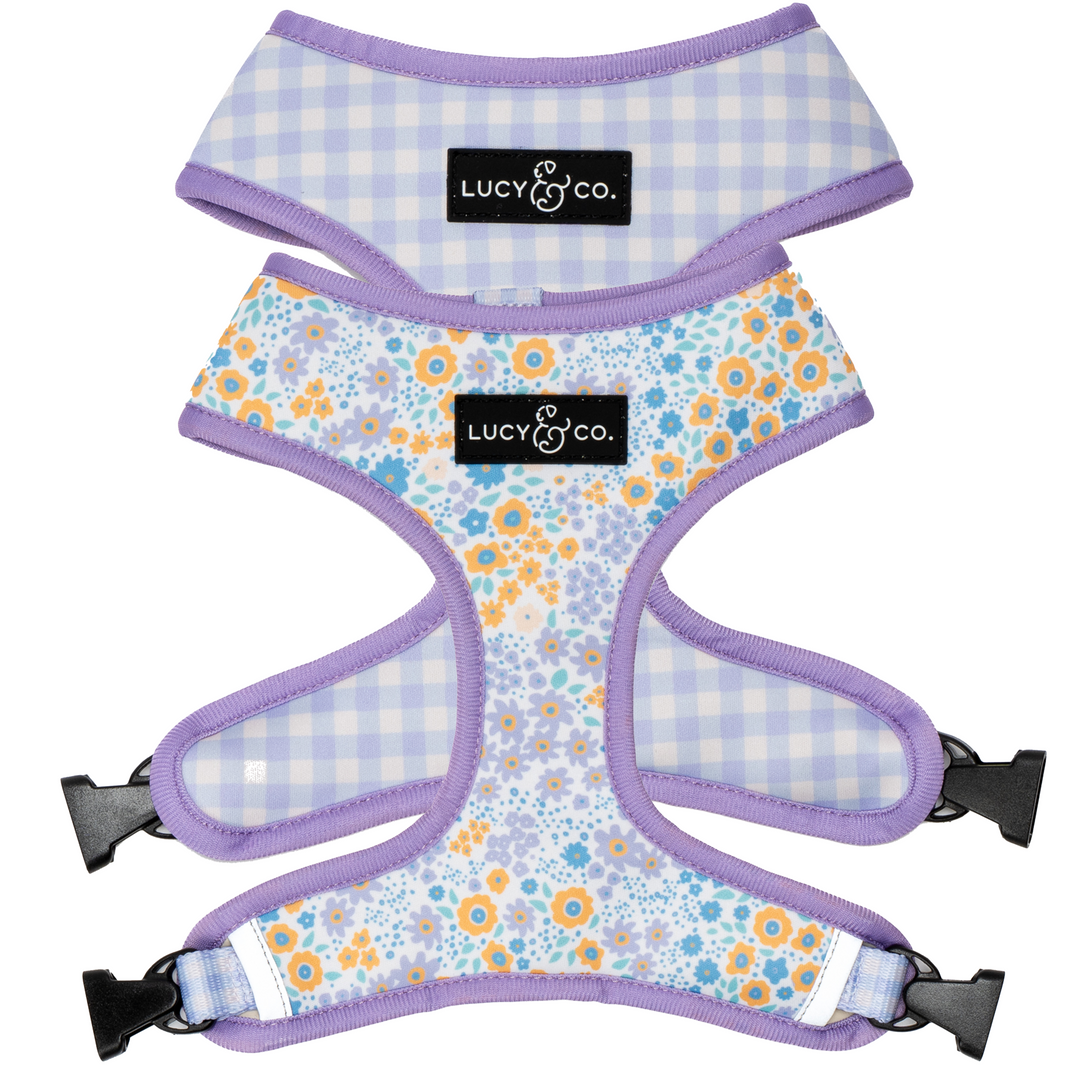 The Internet's Favorite Reversible & No-Pull Dog Harness | Lucy & Co.