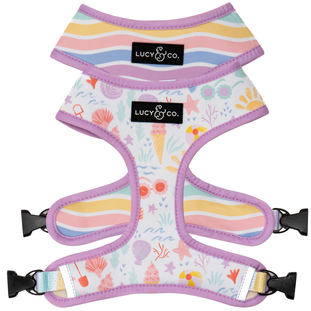 Cute Matching Dog Harnesses & Leashes - Top-Rated Walk Gear – Lucy & Co.
