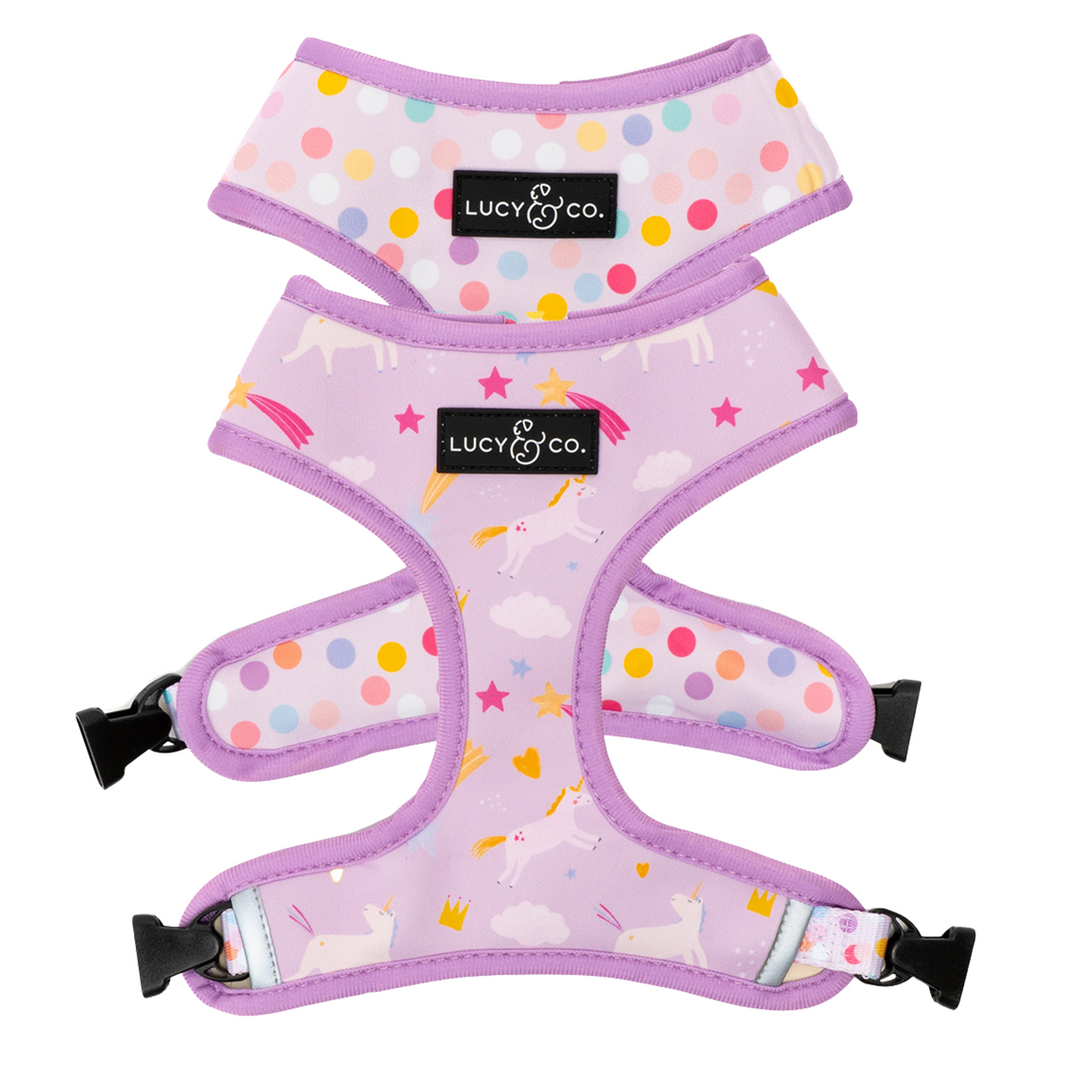 The Internet's Favorite Reversible & No-Pull Dog Harness | Lucy & Co.