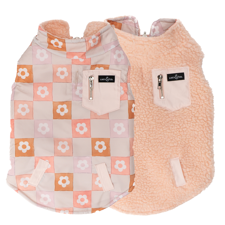 Reversible Dog Teddy Vests | Fall & Winter Pet Apparel | Lucy & Co.
