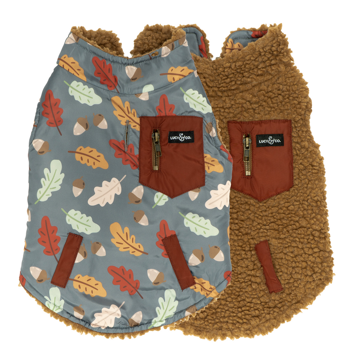 Reversible Dog Teddy Vests | Fall & Winter Pet Apparel | Lucy & Co.