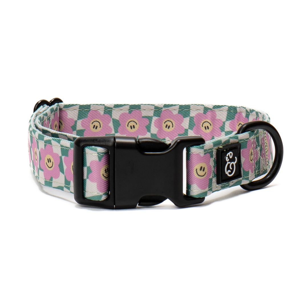 Cute Matching Dog Harnesses, Leashes, Collars - Lucy & Co.