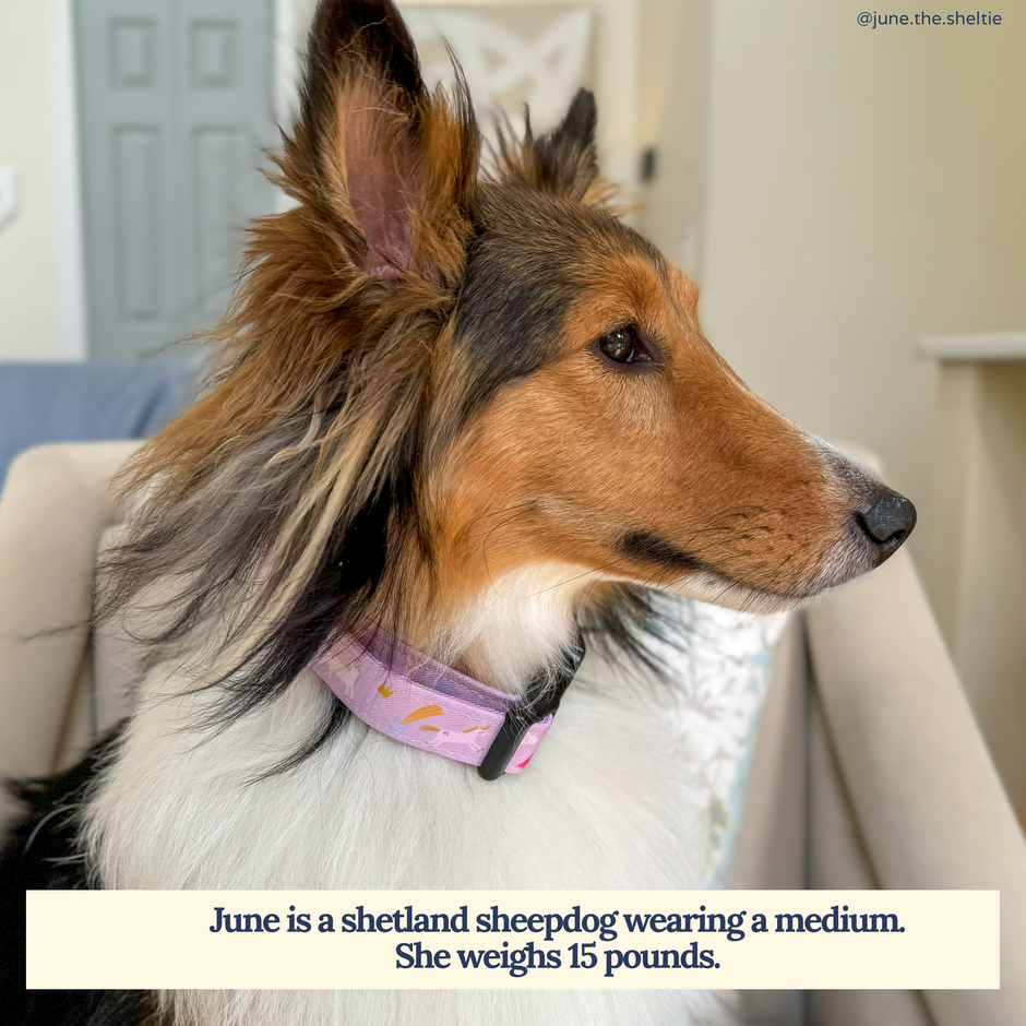 Think Pink! – Lucy & Co.