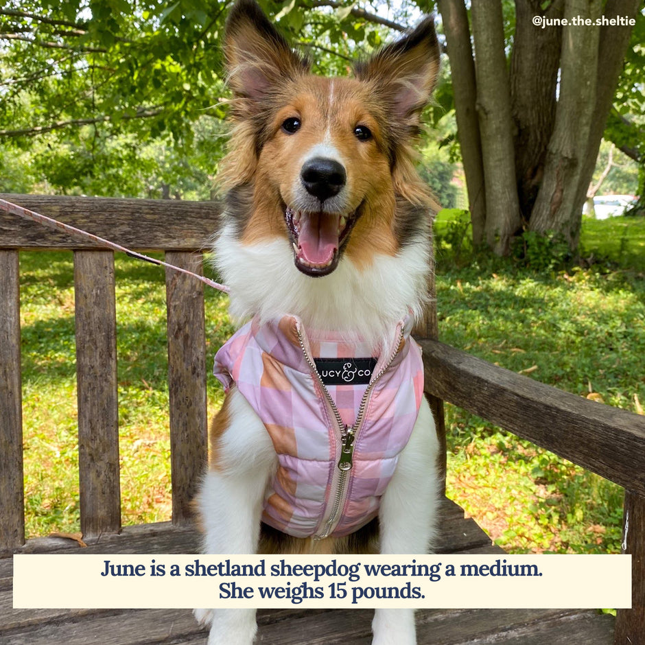 Cute Reversible Dog Jackets & Vests | Stylish Winter Dog Apparel | Lucy ...