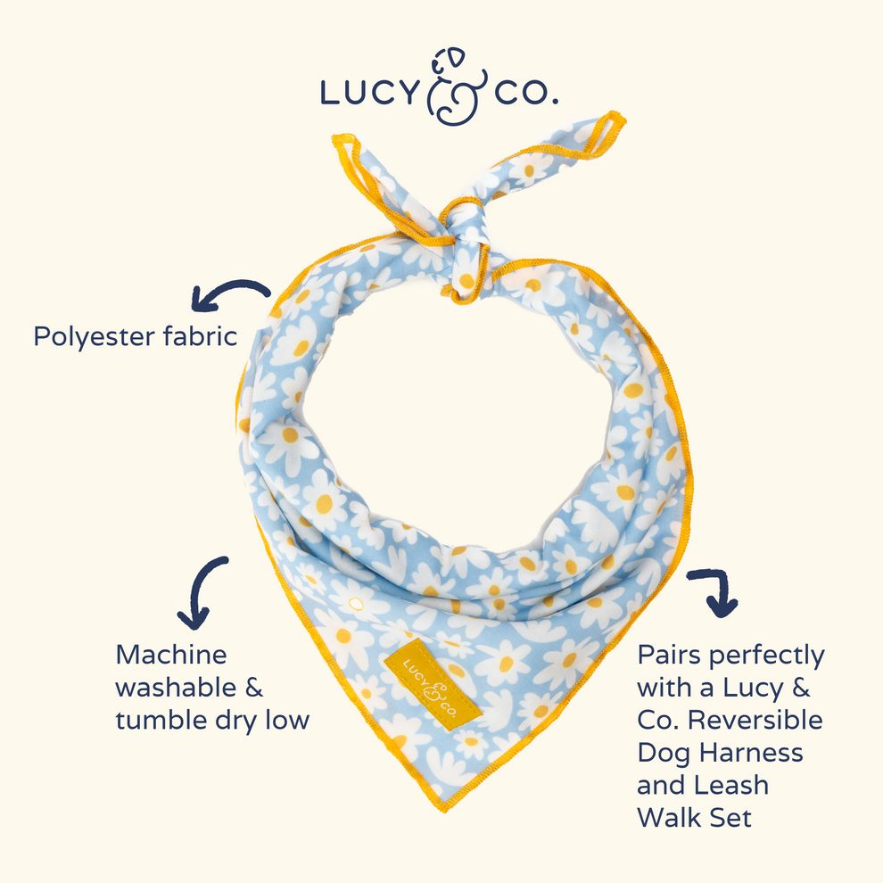 The Simply Splendid Daisy Print Spring Bandana | Lucy & Co.
