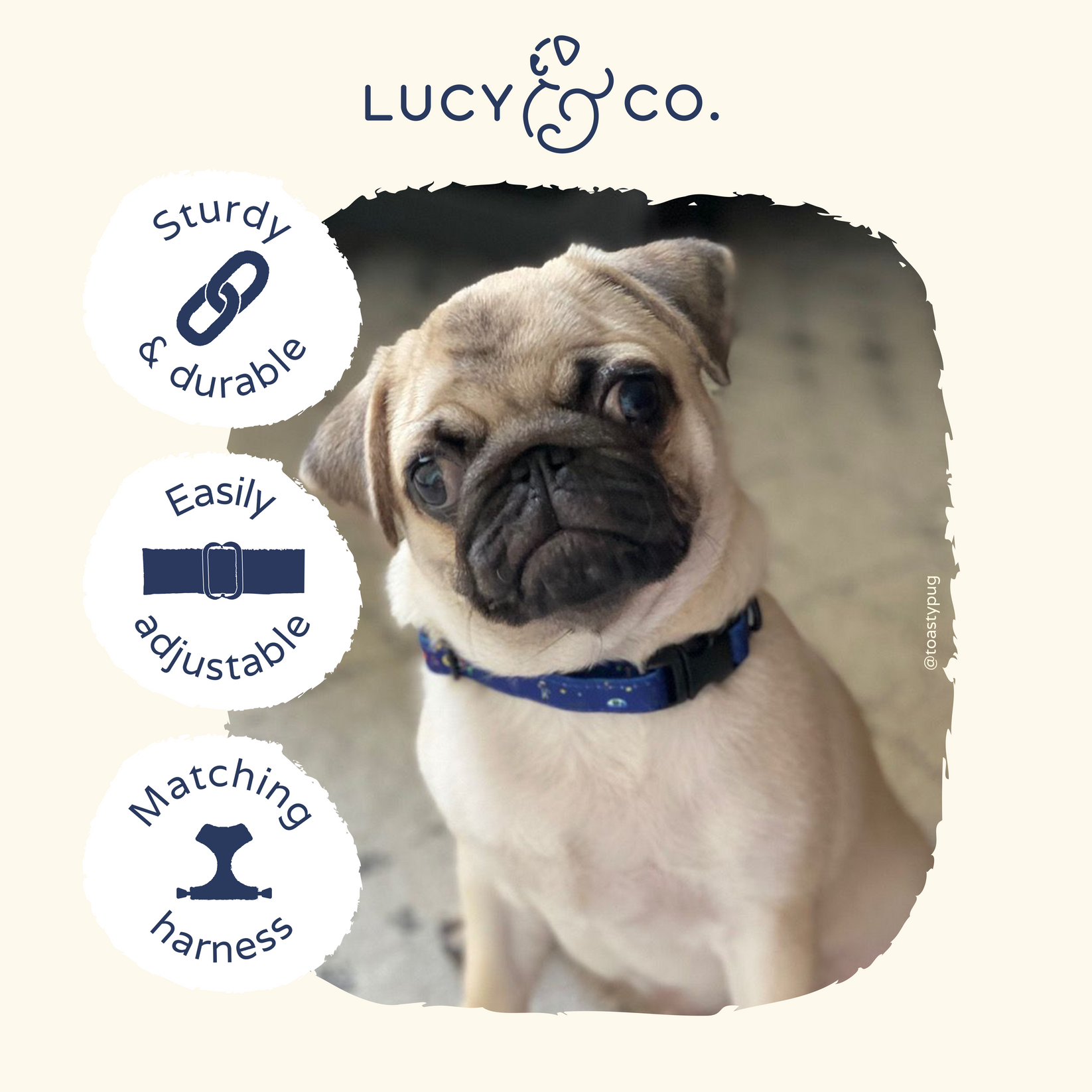 Space Doodle Collar – Lucy & Co.
