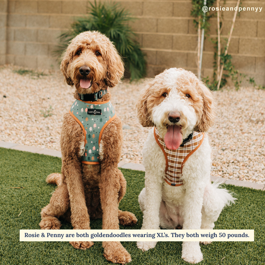 The Internet's Favorite Reversible & No-Pull Dog Harness | Lucy & Co.