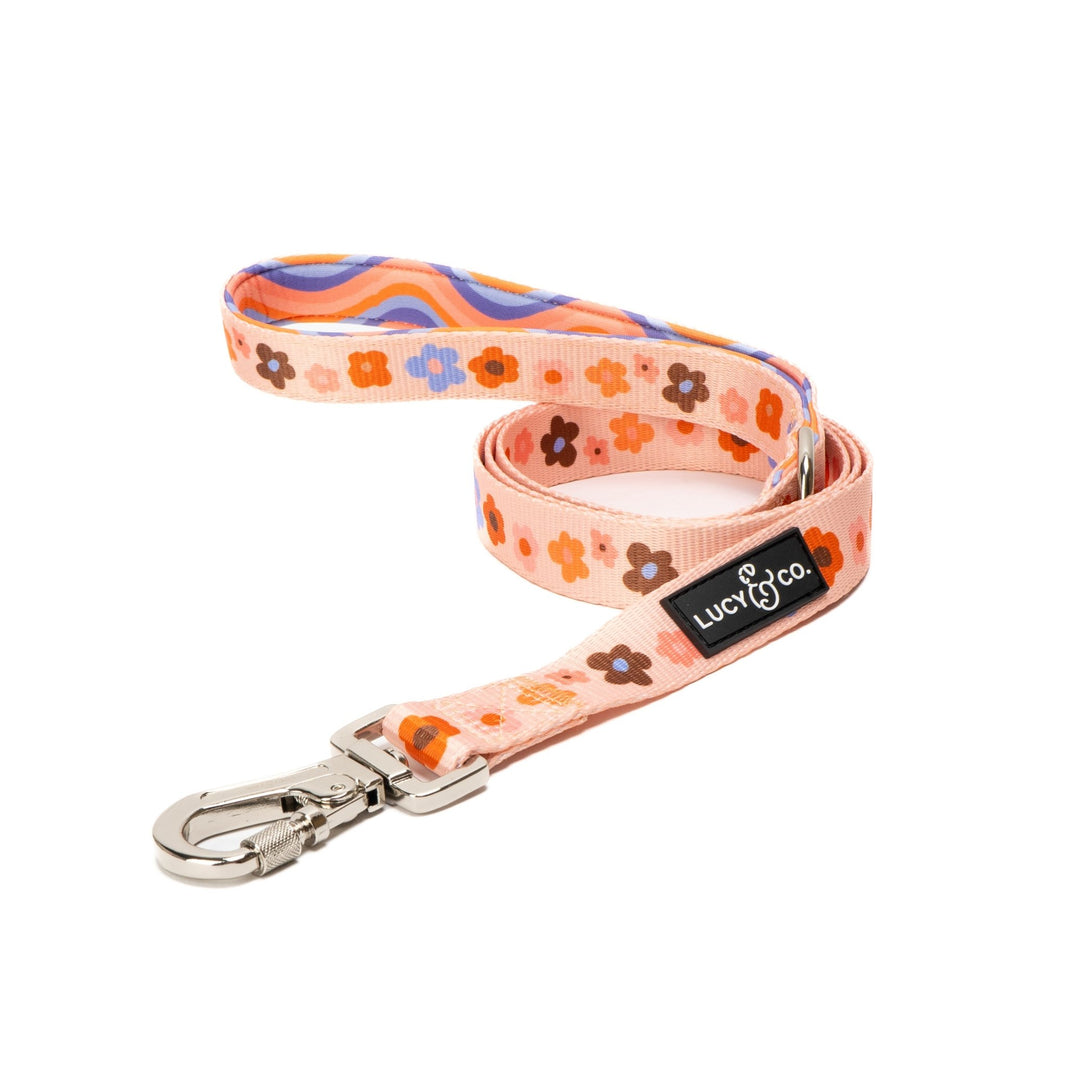 Top-Rated Dog Leashes - The Internet's Favorite Dog Gear – Lucy & Co.