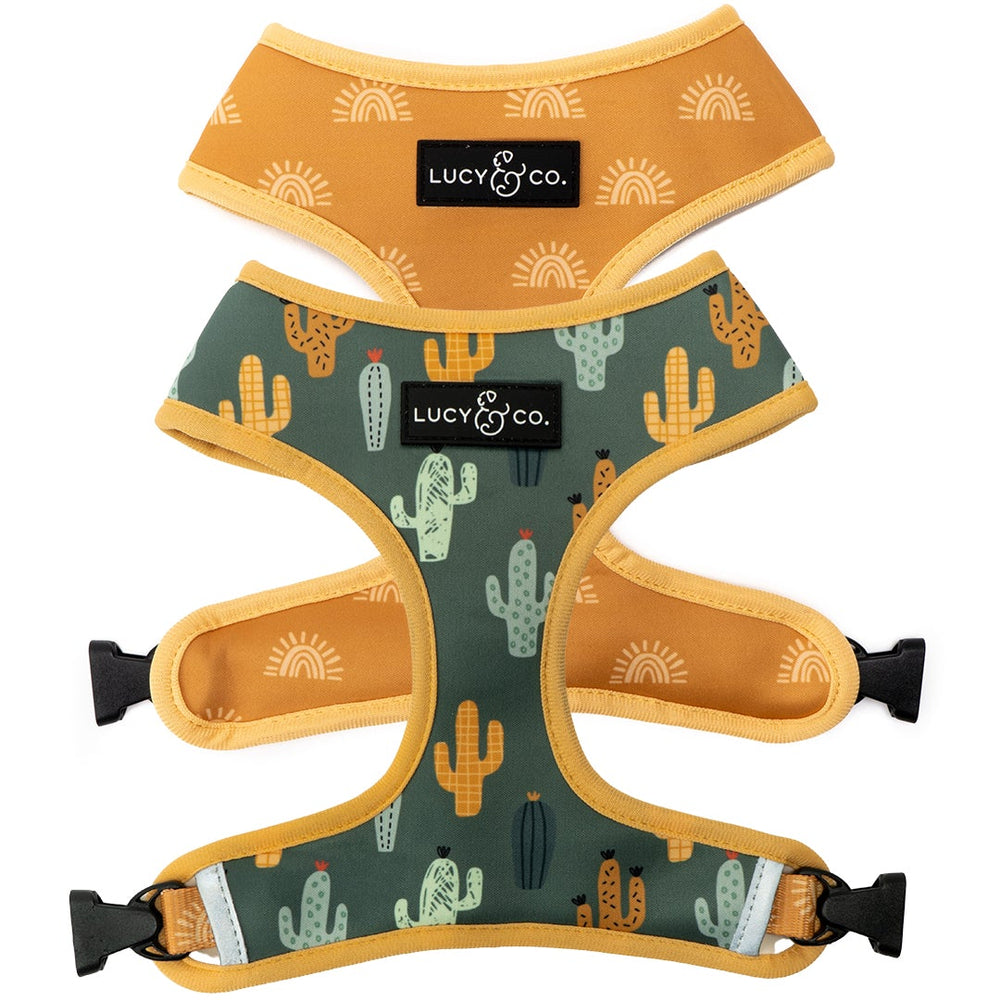 Cute Matching Dog Harnesses & Leashes | Lucy & Co. Dog Gear and Apparel