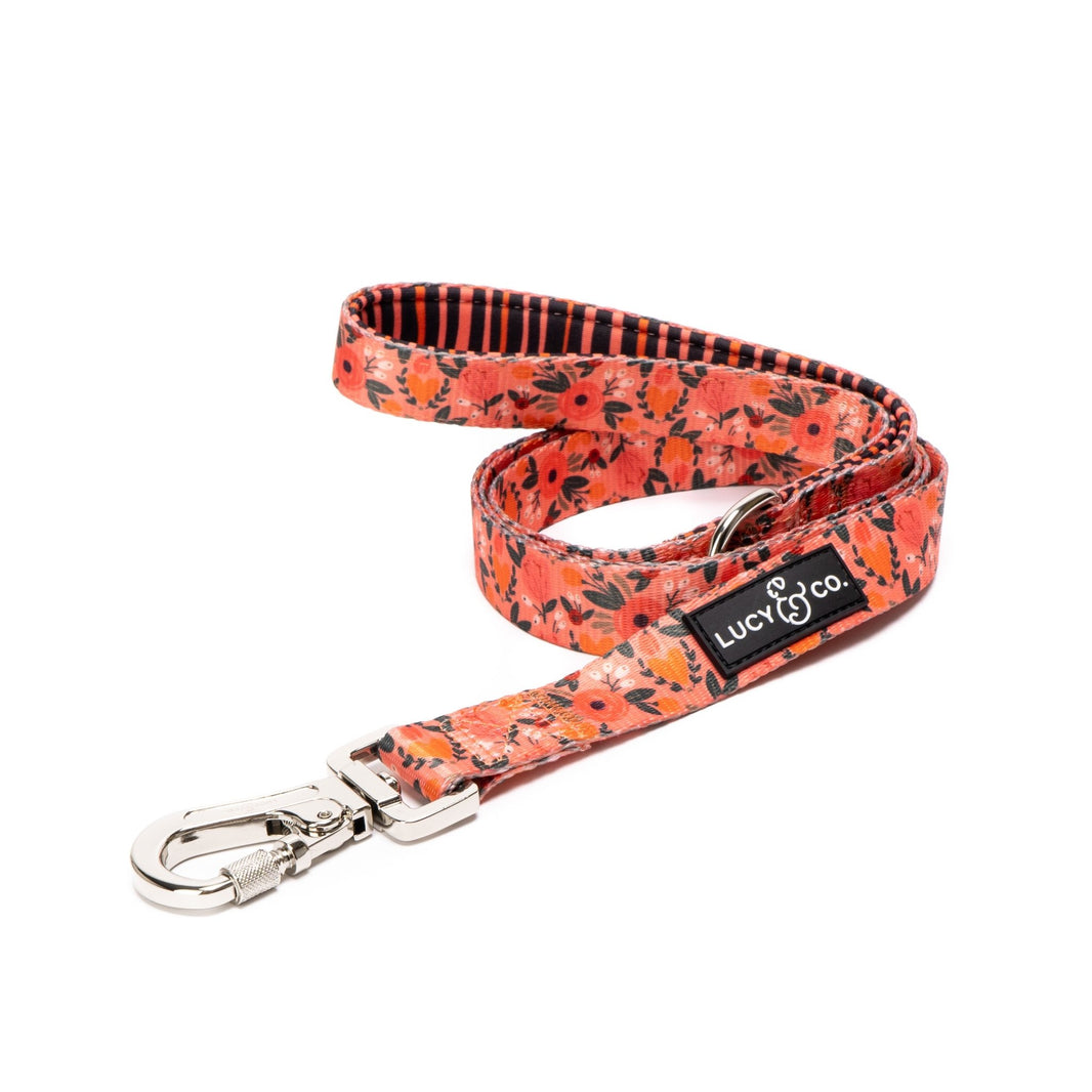 Leashes – Lucy & Co.